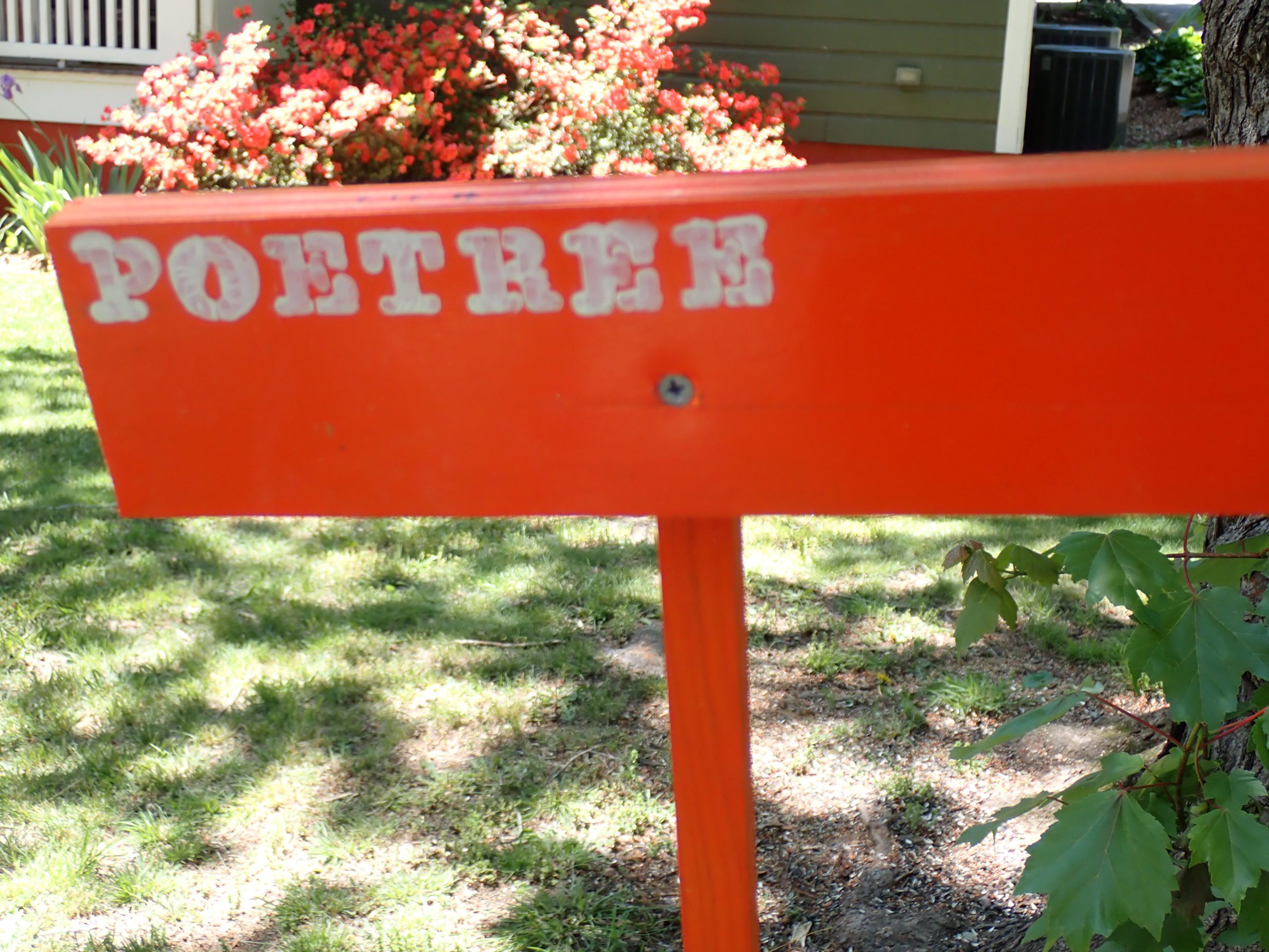 How You Doing? – Living With Ethel